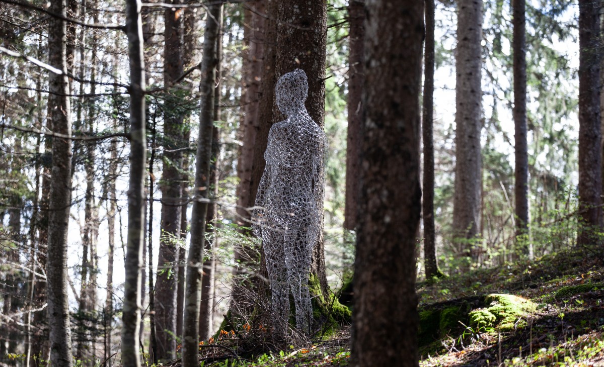 Escorate Arte Stella